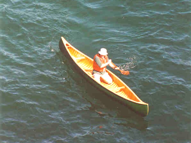 Omer Stringer Classic - click picture to close window